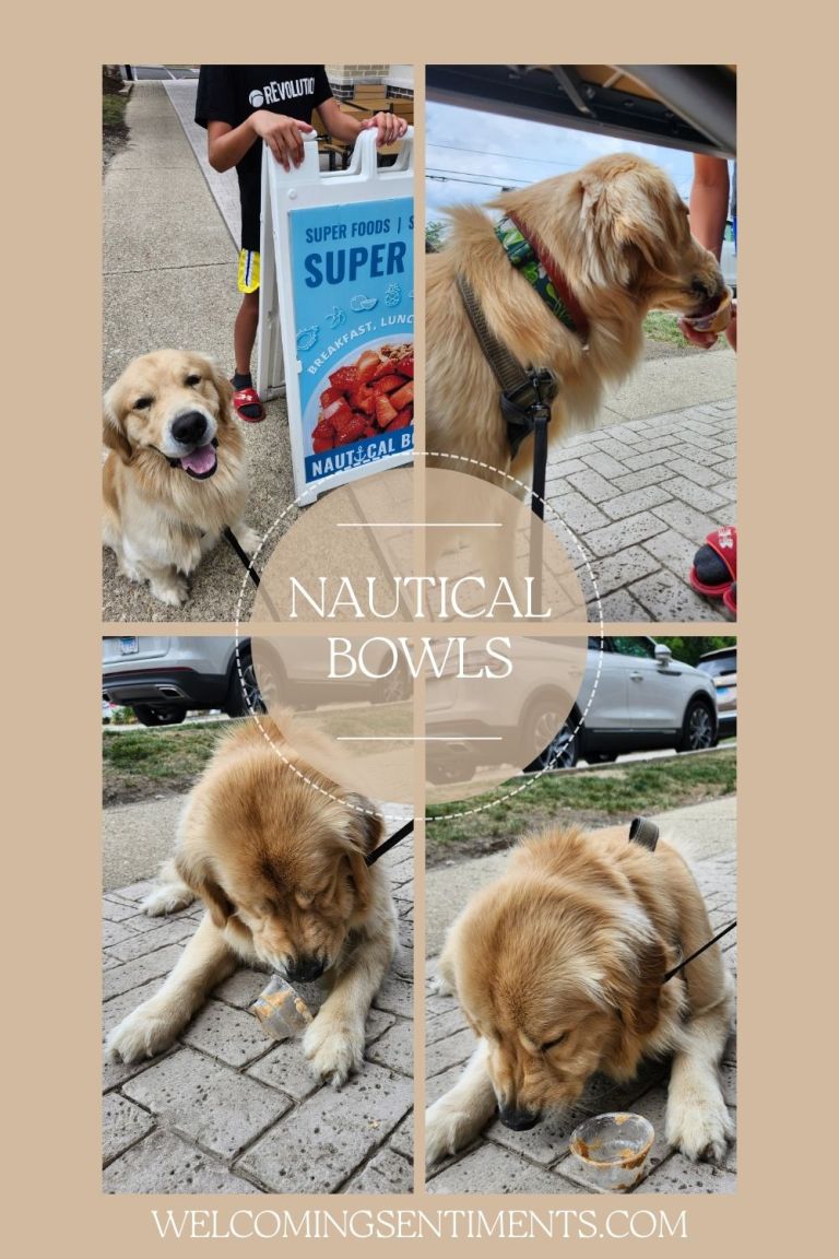 The Ultimate Local Guide to Dog-Friendly Shops, Restaurants & Patios ...